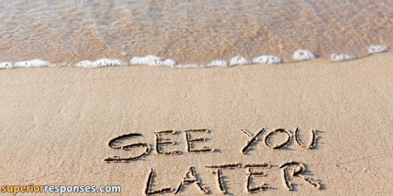 Friendly, Formal, and Digital Replies to "See You Later"